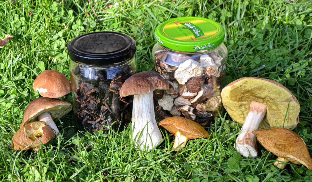 Ruoša žiemai: džiovinti baravykai ir makavykai - Tasted Stories