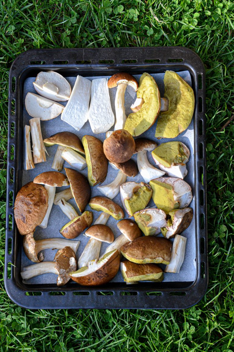 Ruoša žiemai: džiovinti baravykai ir makavykai - Tasted Stories